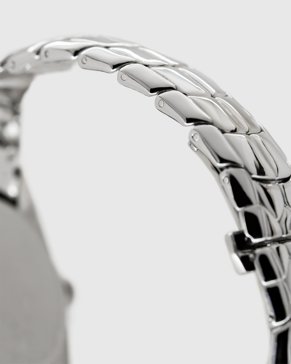 Silver Adder in Silver Scale – Alabaster